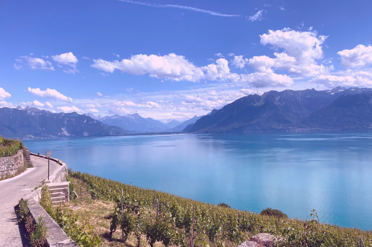 Bon cadeau Balade à deux, au cœur des terrasses viticoles de Lavaux ...
